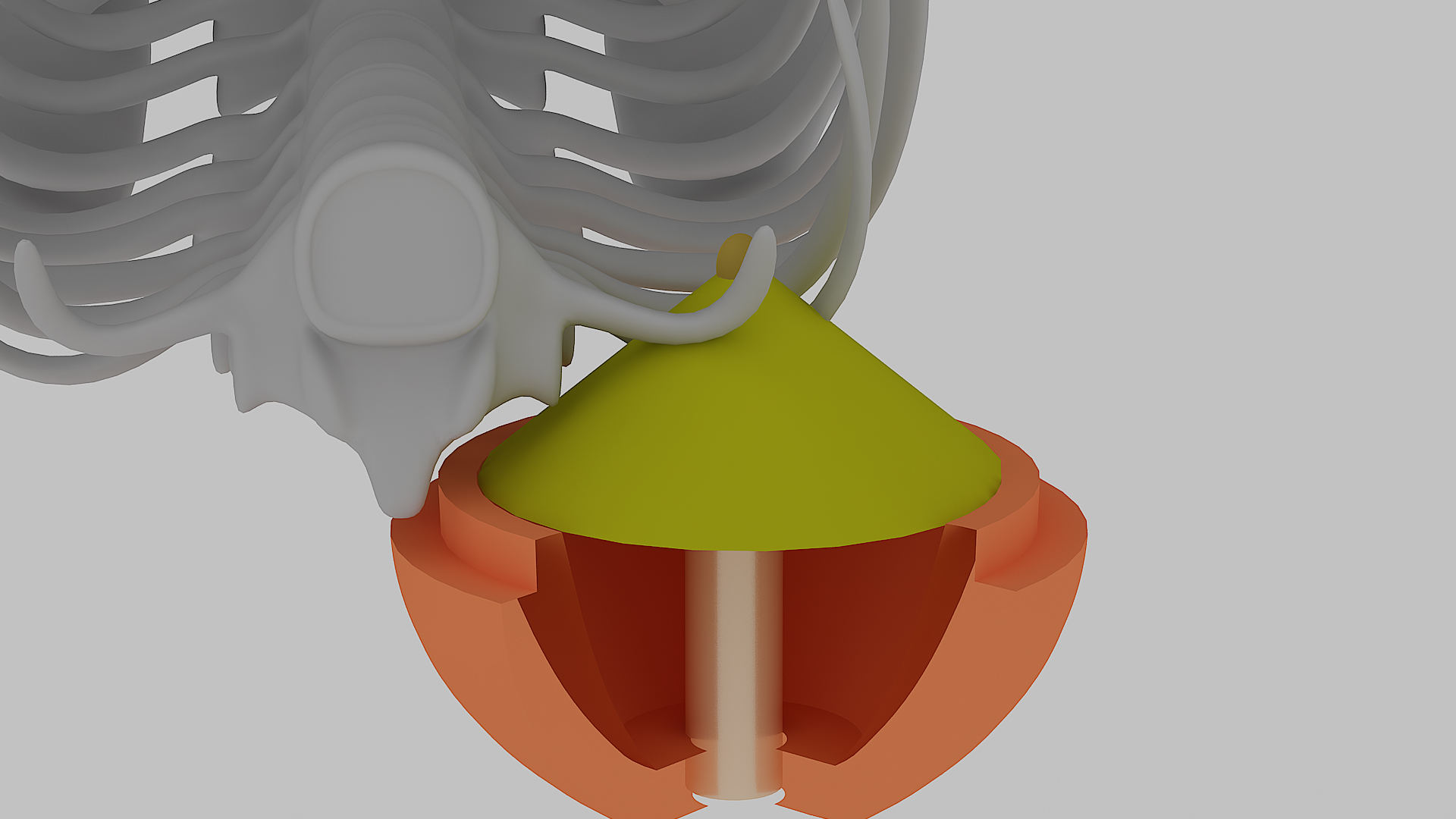 Portfolios – Dr Sameer Parmar